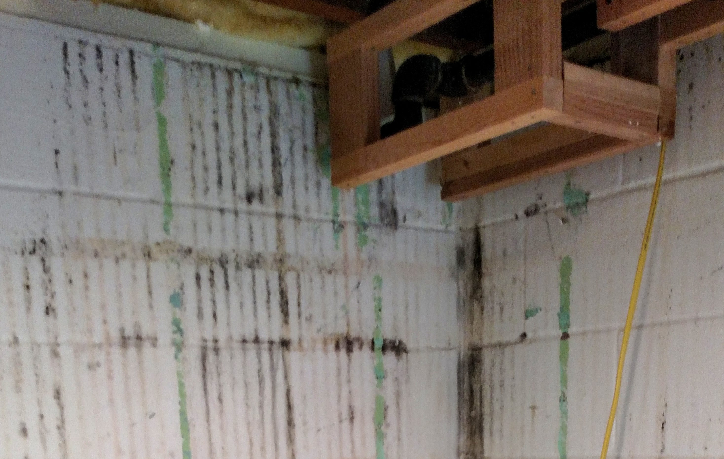 How to Prevent Mold in Basements | InSoFast Insulation Solutions